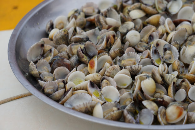 Pipa (Brasil) – O que fazer em 3 dias na Praia de Pipa - 3em3 | Dicas e ...